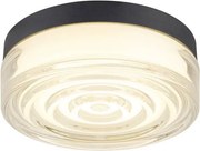 LA 1010211 CYFT WAVE XL Přisazené nástěnné a stropní svítidlo, 2700/3000/4000 K, 15 W, PHASE, 105°, IP65 černá / čirá - BIG WHITE (SLV)