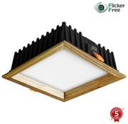 APLED - LED Podhledové SQUARE WOODLINE LED/12W/230V 3000K 17x17 cm jasan masiv