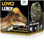 Albi lovci lebek pachycephalosaurus