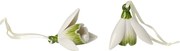 Villeroy & Boch Mini Flower Bells sada 2 ks porcelánových zvonečků, sněženky 14-5487-5423