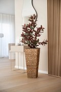 Květináč ASIA, vodní hyacint, výška 60 cm, natur