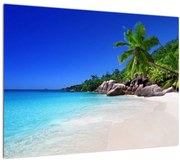 Obraz pláže na Praslin ostrově (70x50 cm)