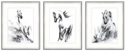 Elegantní triptych s arabskými koňmi do obývacího pokoje a pracovny – Arabští koně | Anna Borkowska