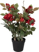 Dekorační květina růže v květináči s červenými květy Rose red - 20*20*55 cm