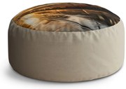 Sablio Taburet Circle Vlak na nádraží při východu slunce: 38x48 cm