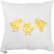 Dekorační polštář Chicky 40x40 cm EMI