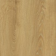 IVC Commercial, PVC podlaha - lino Logitex Ultimate 55 Elias T44, na míru, šíře 2m,4m, hnědá, filc, chodba / předsíň