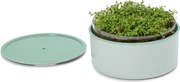 Tchibo - Pěstební sada »Microgreens« - barva: zelená