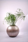 Květináč do interiéru GLOBE, průměr 60 cm, bronzový, outlet