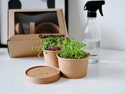 Sada microgreens "Vypěstuj si sám", L