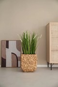 Květináč WILD, vodní hyacint, výška 40 cm, natur