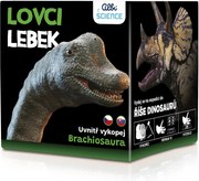 Albi lovci lebek brachiosaurus