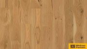 Weitzer Parkett Weitzer Plank 1800 dřevená lakovaná podlaha oak rustic colorful 11mm 69004