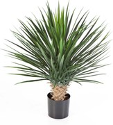 Yucca Rostrata umělá V 80 cm