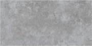 EBS Koncept - Dlažba 30x60 cm, matná argent KONC3060AR