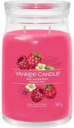 Yankee Candle Vonná svíčka velká Signature Red Raspberry, 567 g, L