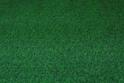 VEBE FLOORCOVERINGS BV UMĚLÁ TRÁVA GREEN-VE 20 s nopy BARVA: Zelená, ŠÍŘKA: 2 m