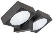 Rabalux 77101 - LED Venkovní nástěnné svítidlo TELDE 2xLED/7W/230V IP54 antracit