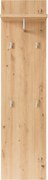 XXXLutz ŠATNÍ PANEL, dub artisan, 40/158/30 cm - Šatní panely - 002737046130