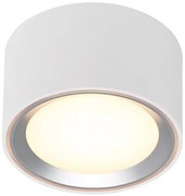 Nordlux - LED Stmívatelné stropní svítidlo FALLON LED/5,5W/230V