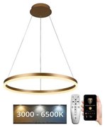 Brilagi - LED Stmívatelný lustr na lanku CIRCLE LED/42W/230V 3000-6500K + DO