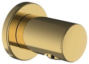 Laufen Sprchové příslušenství - Sprchové kolínko, lesklá zlatá HF504776463000