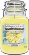 Vonná Yankee Candle Candle pro domácí inspiraci Velký nanuk s citronem a limetkou 538