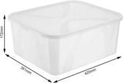 Úložný box, transparentní krabice s víkem, Rotho LONA, 42x35x17 (19l)