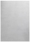 Světle šedý pratelný koberec 80x150 cm Sky – Ayyildiz Carpets