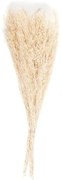 Dekorativní sušené květy Andrea House 70 cm, 100 g | přírodní AX21026