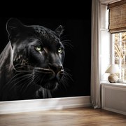 Fototapeta - Černý panter (245x170 cm)