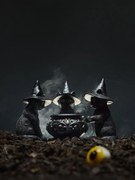 Sinsay - Halloweenový svícen na čajovou svíčku ve tvaru koček s kotlíkem - černá