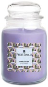 Price's MAXI vonná svíčka ve skle Purple Hush - hoření 130h