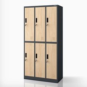 Šatní skříňka BOZP 6dveřová antracitová/dub sonoma, 900x1850x450 mm: IGOR Eco Design