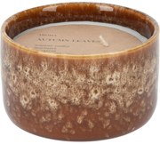Svíčka v keramickém obalu Luxury, Autumn leaves, 390 g