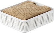 Rotho Úložný box do šuplíku, šatní organizér LISORA EXTRA LARGE, 31 x 25,8 x 10 cm