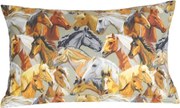 Bellatex Povláček bavlna 40x60cm na zip Kůň