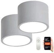 Immax NEO 07143-GR15BD-SADA 2xLED Stropní svítidlo RONDATE 12W/230V Tuya šedá+DO