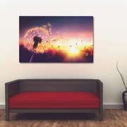 obraz - pampeliška při západu slunce plátno na podrámku 60 x 40 cm