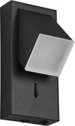 Matně černé LED nástěnné svítidlo Raglan – Trio