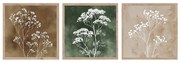 Obrazy v sadě 3 ks 30x30 cm Floral Imprint – Styler