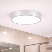Brilagi - LED Koupelnové stropní svítidlo POOL LED/24W/230V pr. 30 cm IP54 bílá