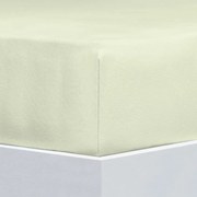 Florella Prostěradlo Solit Jersey Minze, 180-190x200 cm