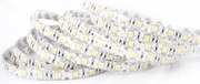 ECOLIGHT LED pásek - SMD 5050 - 5m - 60LED/m - 14,4W/m - IP65 - studená bílá