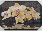 Obraz "Orchidej" - tisk na papír, zarámovaný, 73x53cm