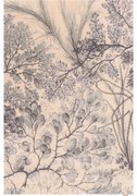 Vlněný koberec v mentolové a béžové barvě 133x190 cm V&amp;A Calisia Kelp – Agnella