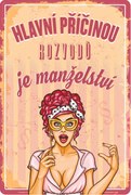 Postershop Plechová cedule: Hlavní prícinou rozvodu je manželství - 20x30 cm