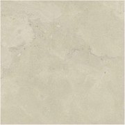 EBS Portlandstone - Dlažba 60x60 cm, matná taupe PRTLS60TP