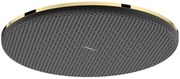 Hansgrohe Raindance Alive S - Hlavová sprcha, průměr 30 cm, EcoSmart, leštěný vzhled zlata 24521990