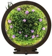 Li-Go "Slaměnky v mechu" lampa 20x22 cm
